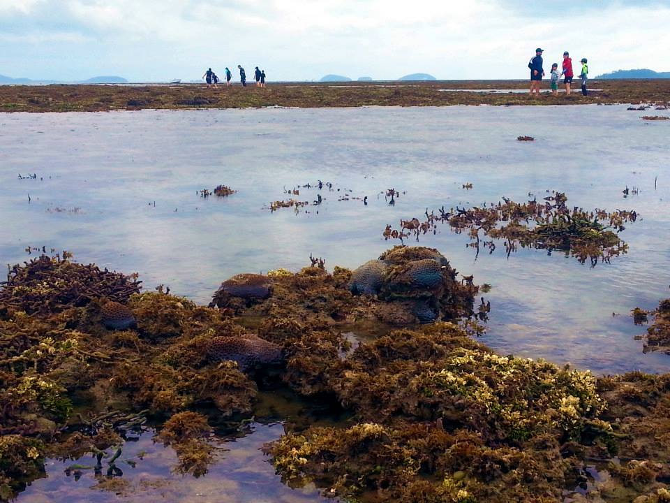 Walk to the reef - King Reef Resort